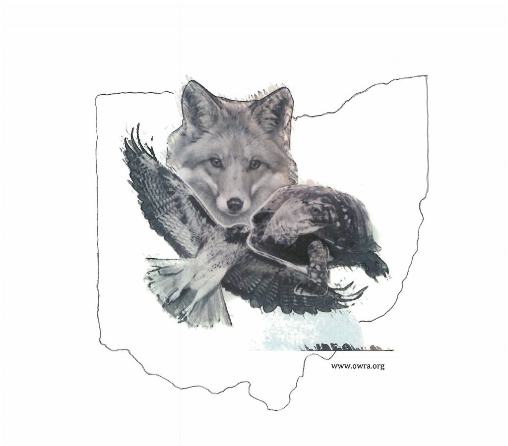 owra - Ludar Animal Behavior